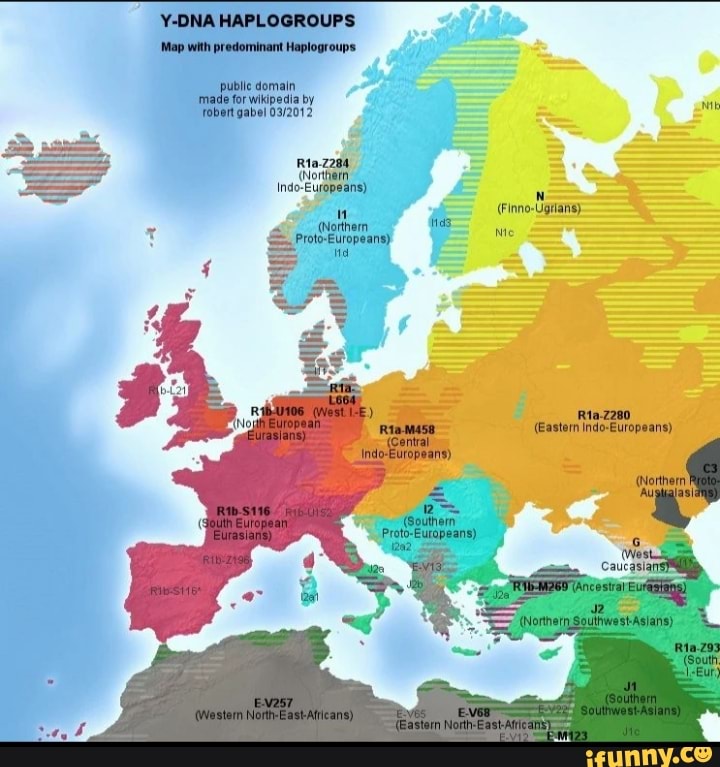 Y-DNA HAPLOGROUPS 'Map with predominant Haplogroups: public domain ...