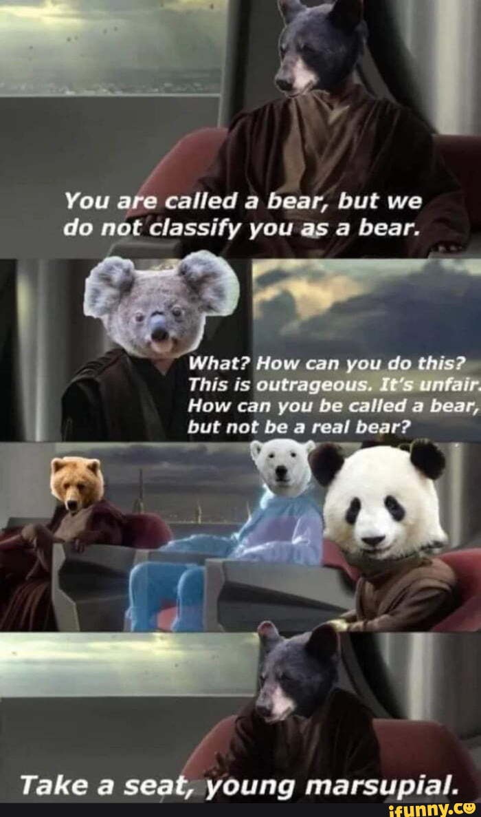 Koala Bear Meme Koalafications