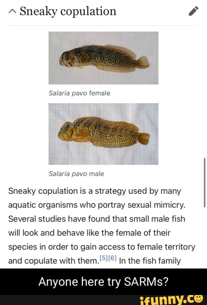 Mimicry memes. Best Collection of funny Mimicry pictures on iFunny