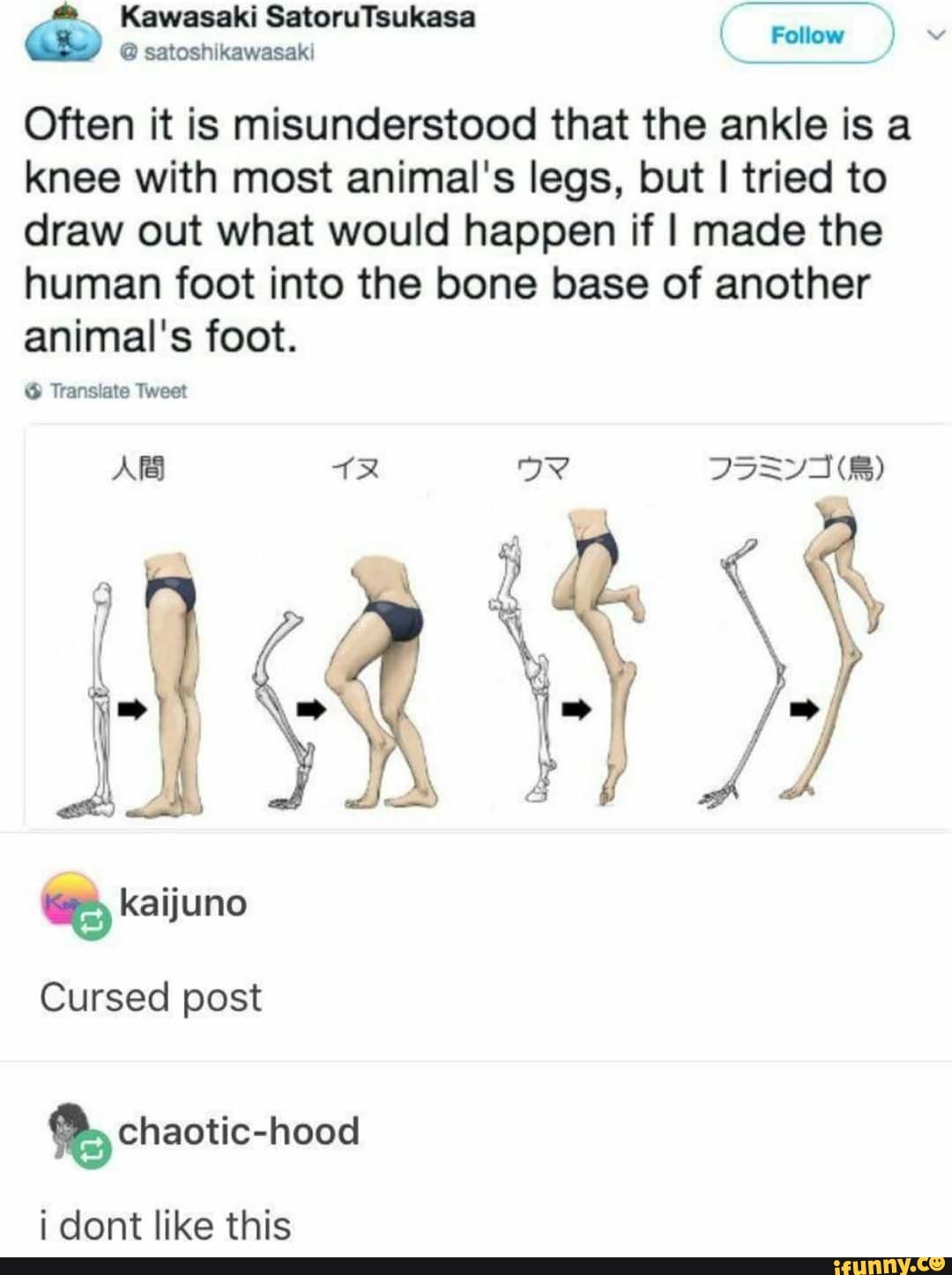 Human body memes memes. The best memes on iFunny