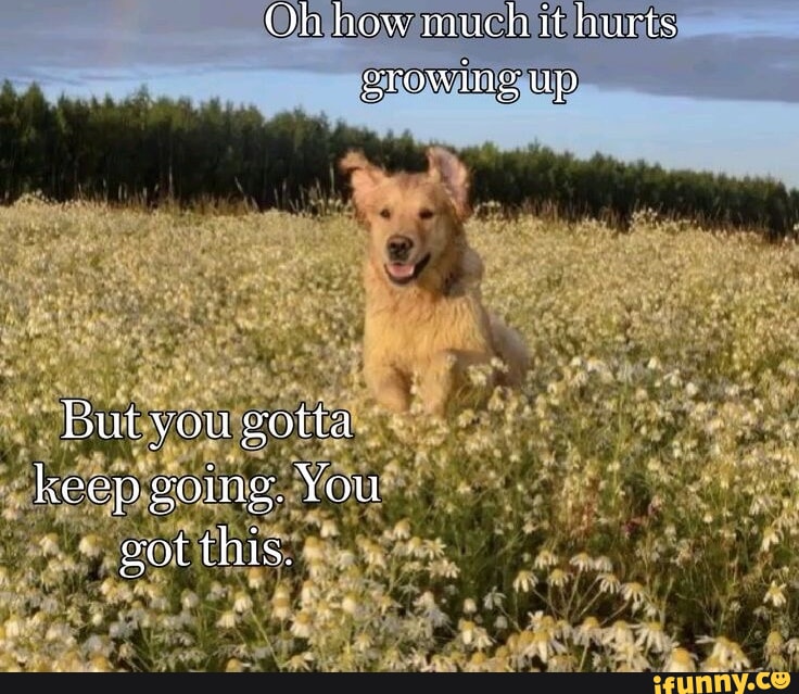 Growing memes. Best Collection of funny Growing pictures on iFunny