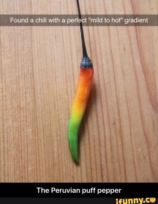 The Peruvian puff pepper - The Peruvian puff pepper - iFunny