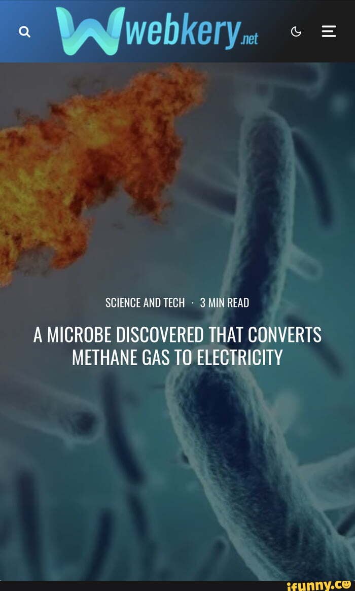 Microbe memes. Best Collection of funny Microbe pictures on iFunny