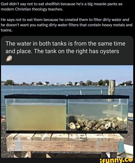 God didn't say not to eat shellfish because he's a big meanie pants as ...