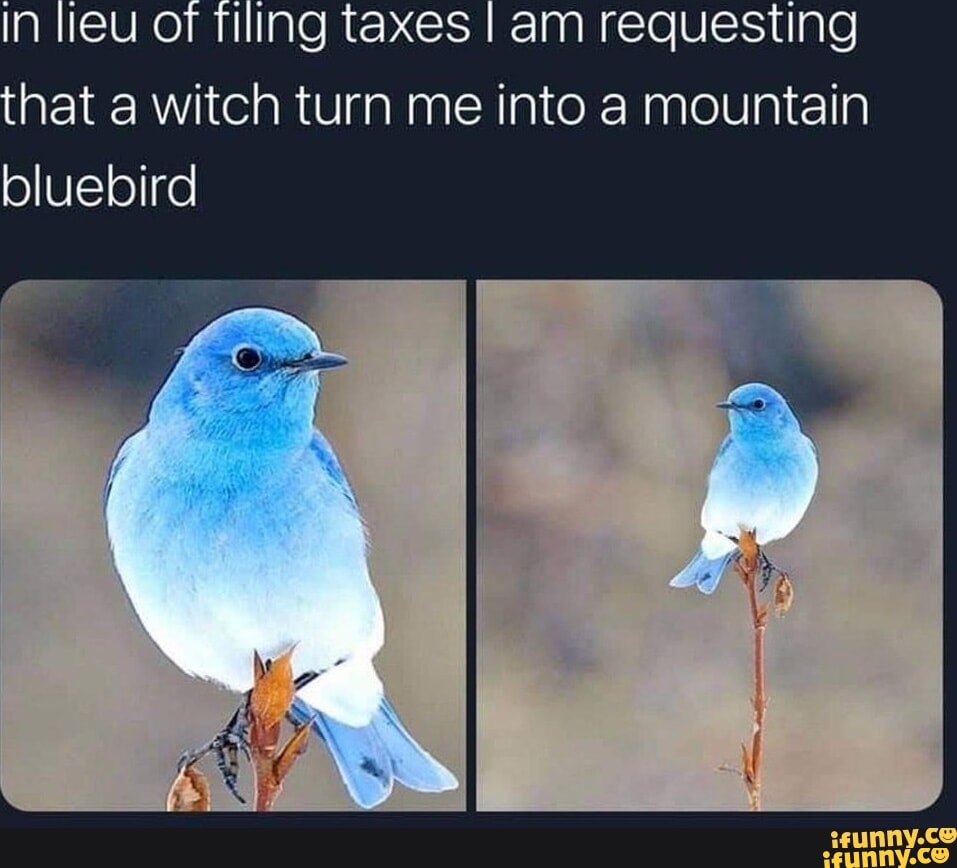 Lieu memes. Best Collection of funny Lieu pictures on iFunny