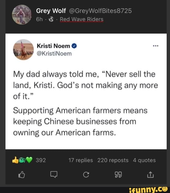 Noem memes. Best Collection of funny Noem pictures on iFunny