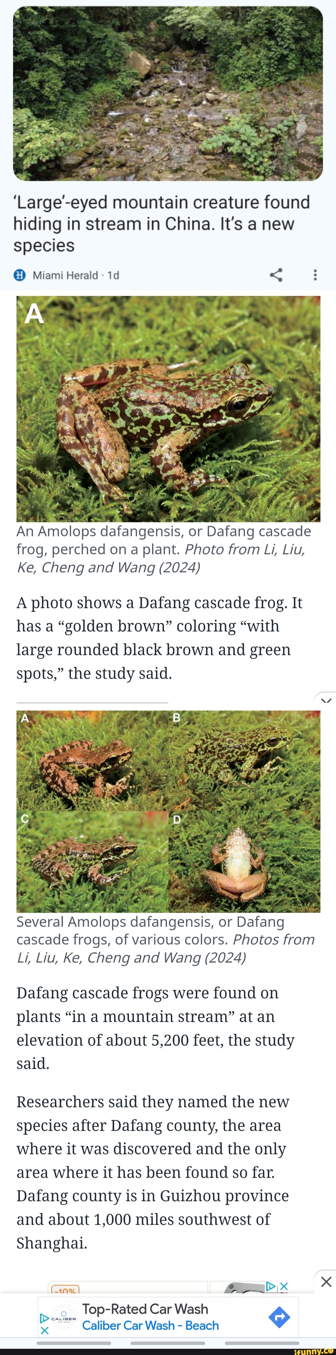 Cascade memes. Best Collection of funny Cascade pictures on iFunny