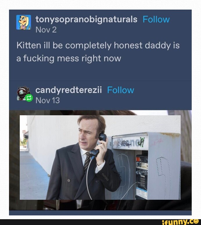 Tonysopranobignaturals Follow Now 2 Kitten ill be completely honest ...