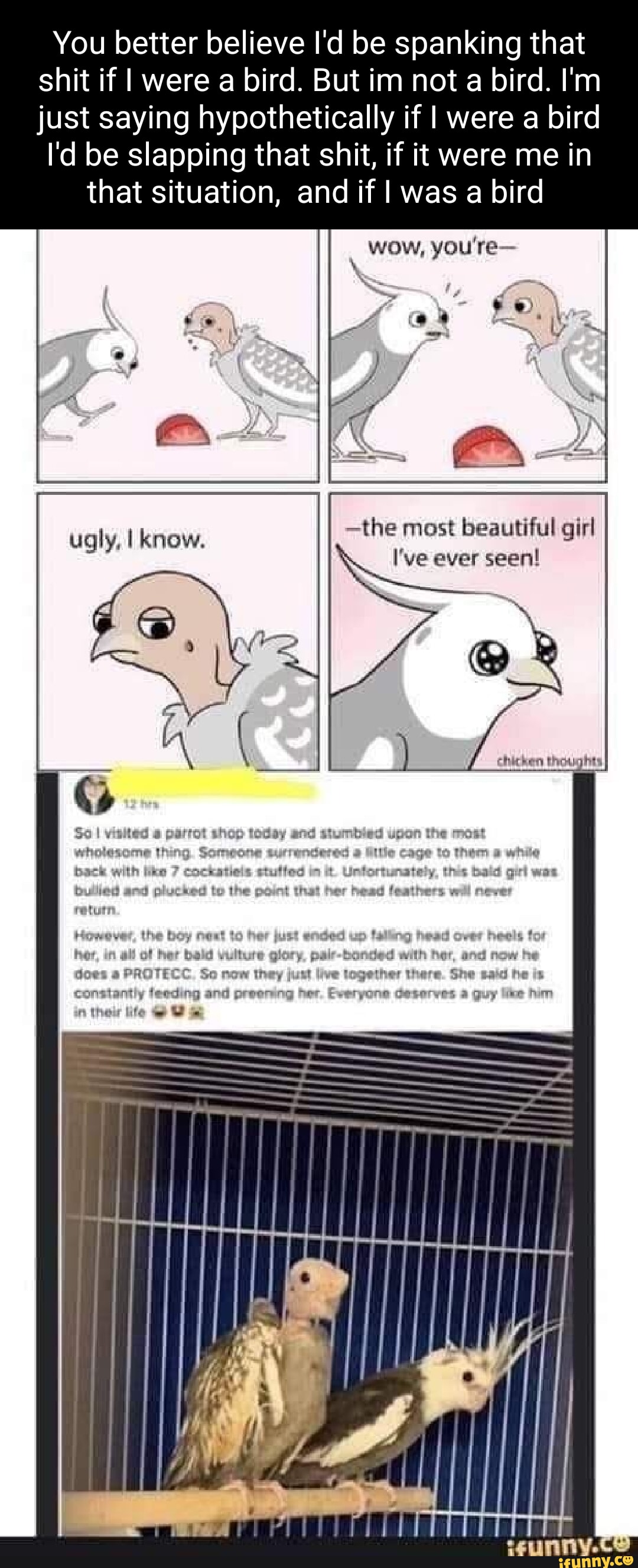 Video memes sBb42mY7B by skaggs: 1 comment - iFunny