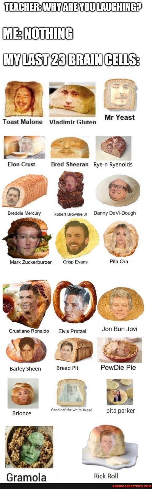 TEACHER: MEJ NOTHING IV Toast Malone Vladimir Gluten Mr Yeast Elon ...