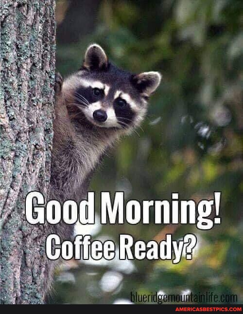 Good Morning! Coffee Ready? - America’s best pics and videos