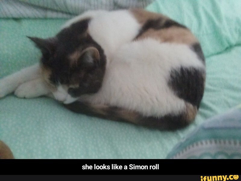 She looks like a Simon roll - she looks like a Simon roll - iFunny