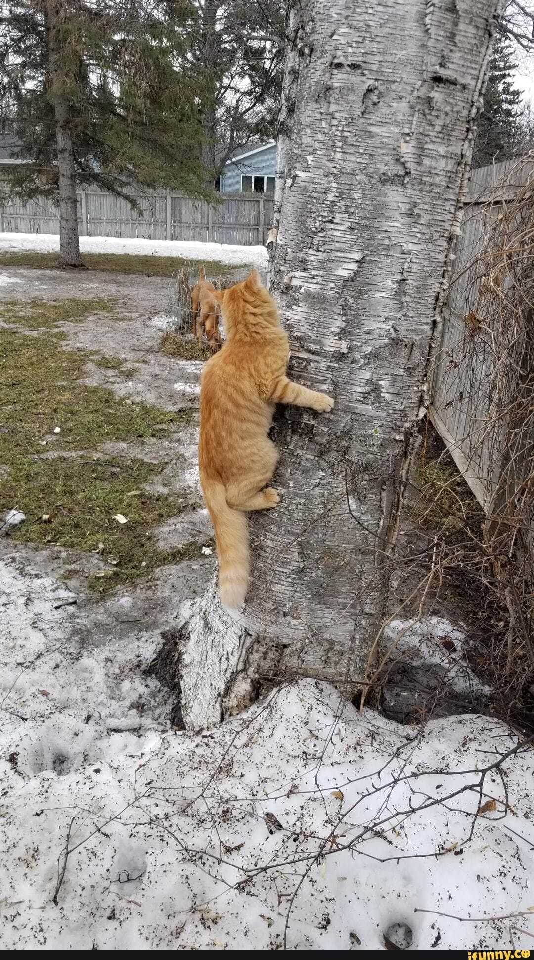 Beautiful_world memes. Best Collection of funny Beautiful_world ...