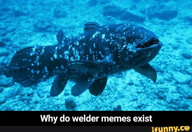 Why do welder memes exist - Why do welder memes exist - iFunny
