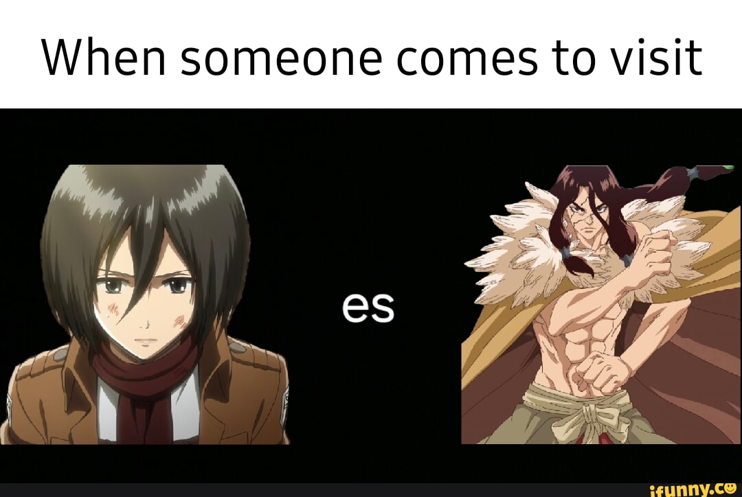 Ackerman memes. Best Collection of funny Ackerman pictures on iFunny