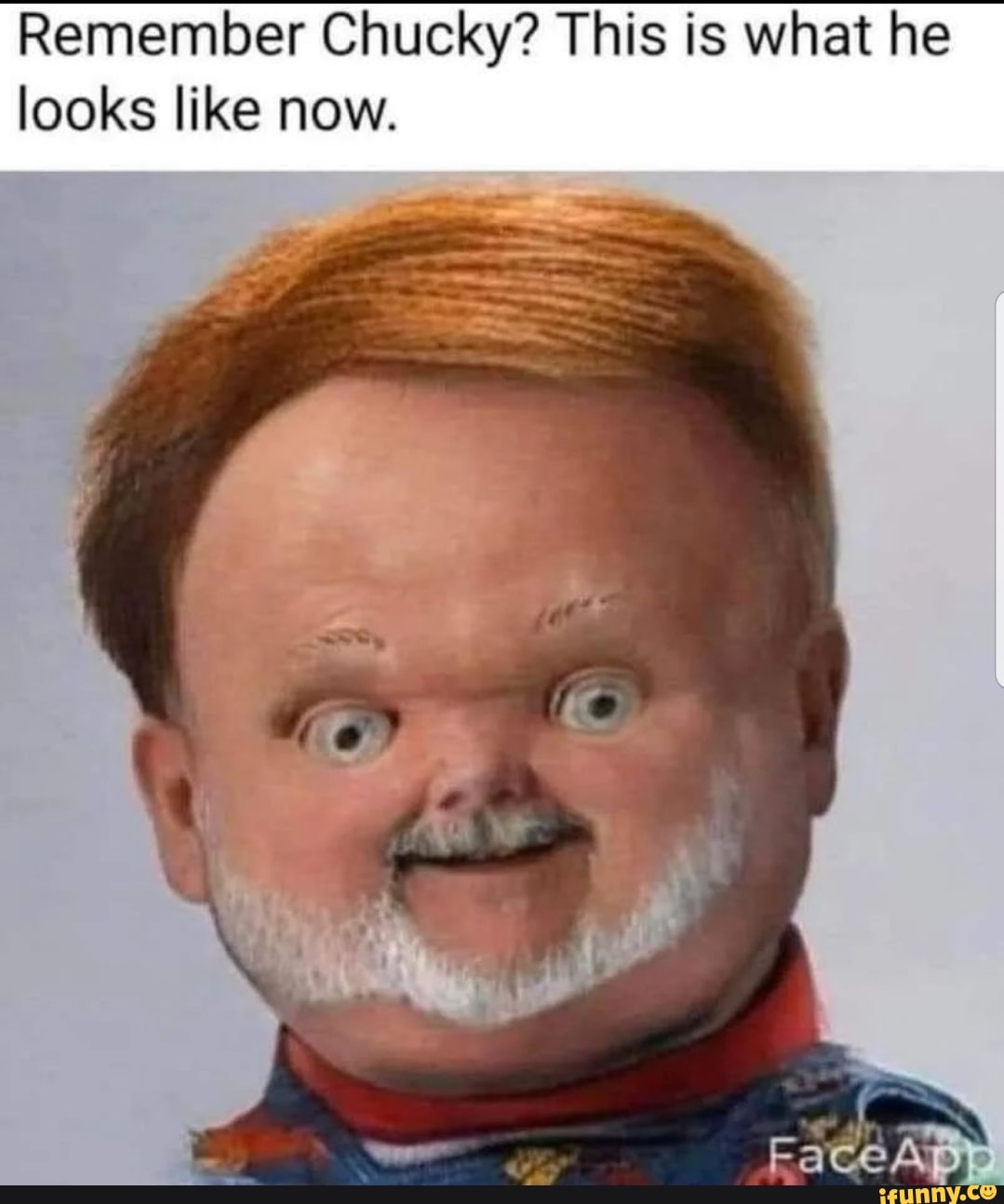 Remember Chucky? This is what he looks like now. Fa - iFunny