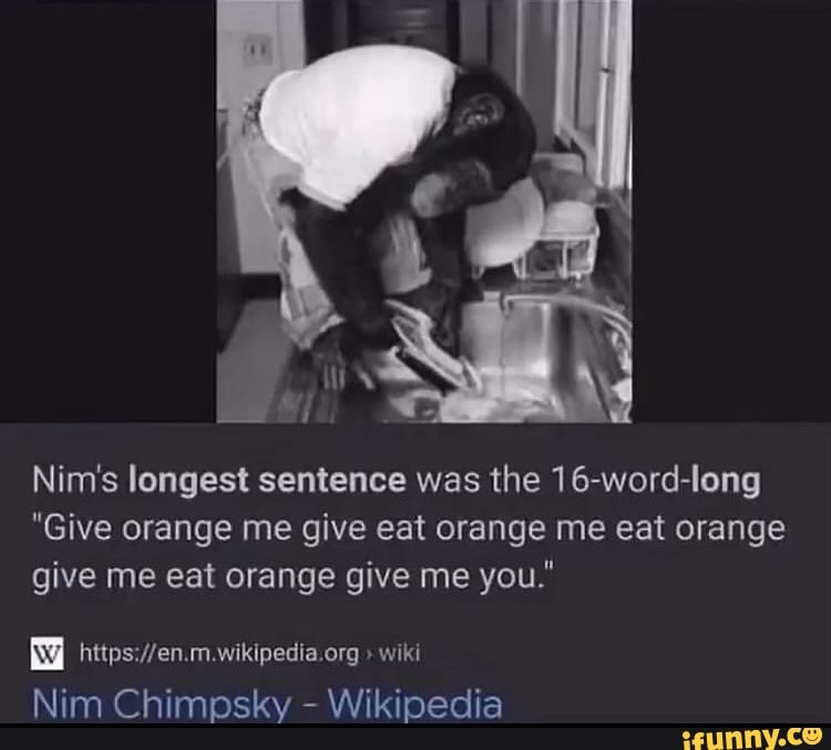 Nim's longest sentence was the 16-word-long "Give orange me give eat ...