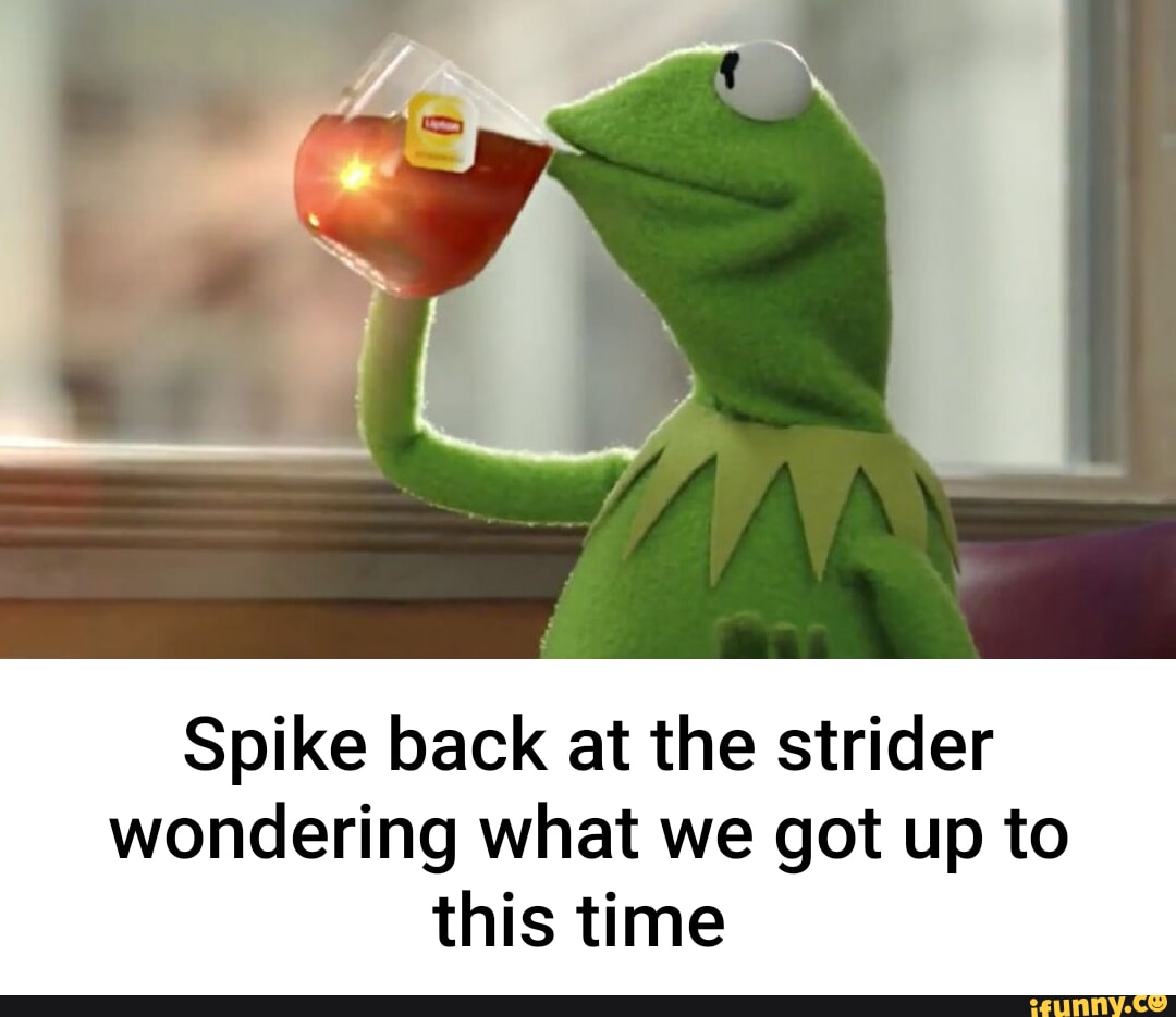 Spike back at the strider wondering what we got up to this time - iFunny