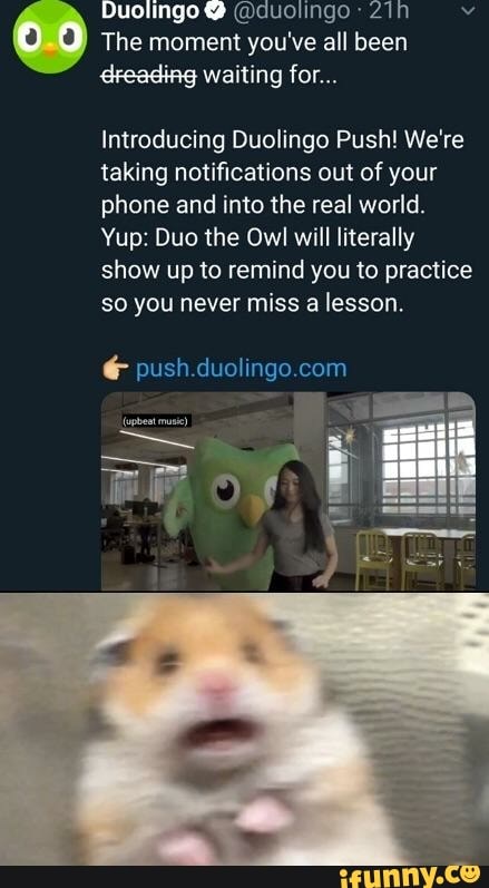 Duolingoª @duolingo » 21 h v The moment you've all been dreading ...