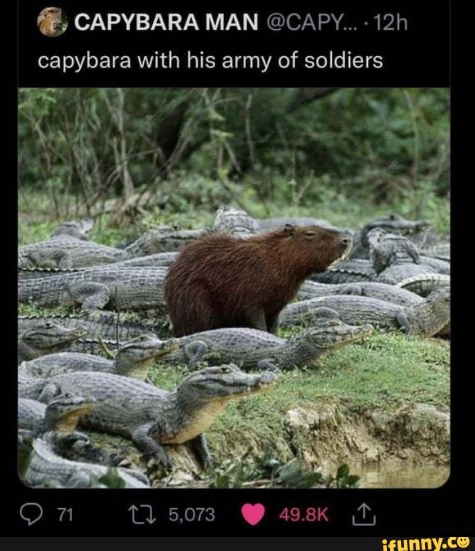 CAPYBARA MAN @CAPY...- capybara with his army of soldiers On - iFunny