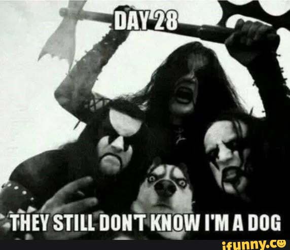 Abbath memes. Best Collection of funny Abbath pictures on iFunny