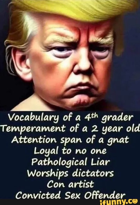 Gnat memes. Best Collection of funny Gnat pictures on iFunny