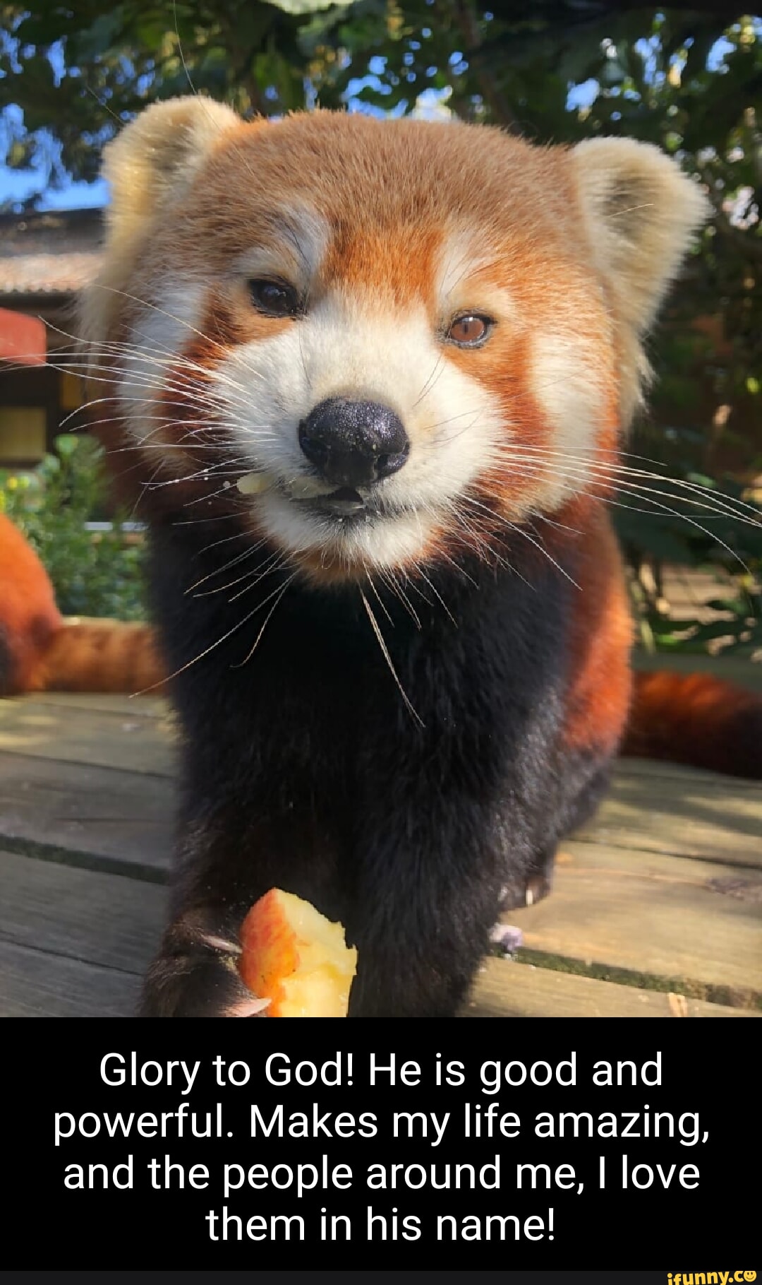 Glory memes. Best Collection of funny Glory pictures on iFunny