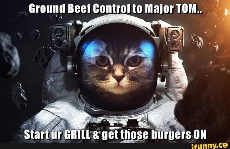 Ground control to major Tom - Ground Beef Control to Major TOM.. Cart ...