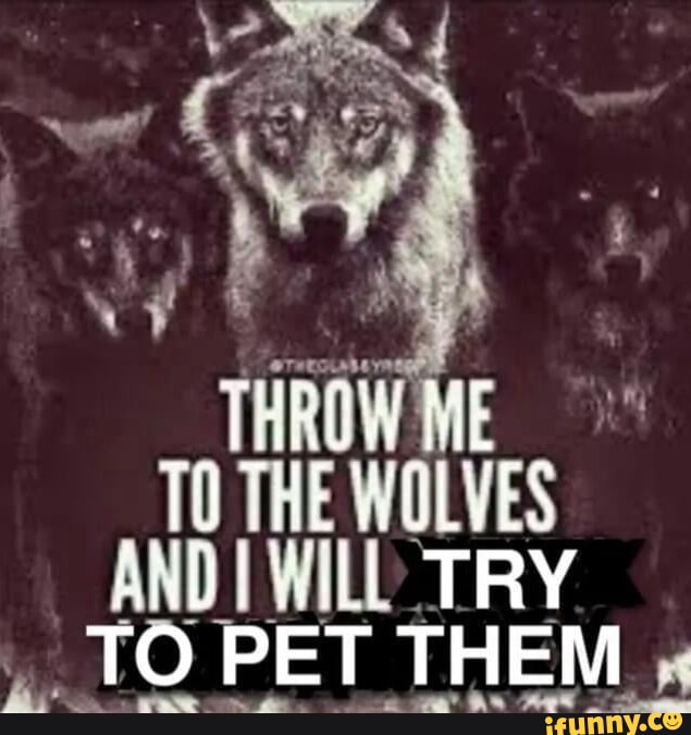 Wolves memes. Best Collection of funny Wolves pictures on iFunny