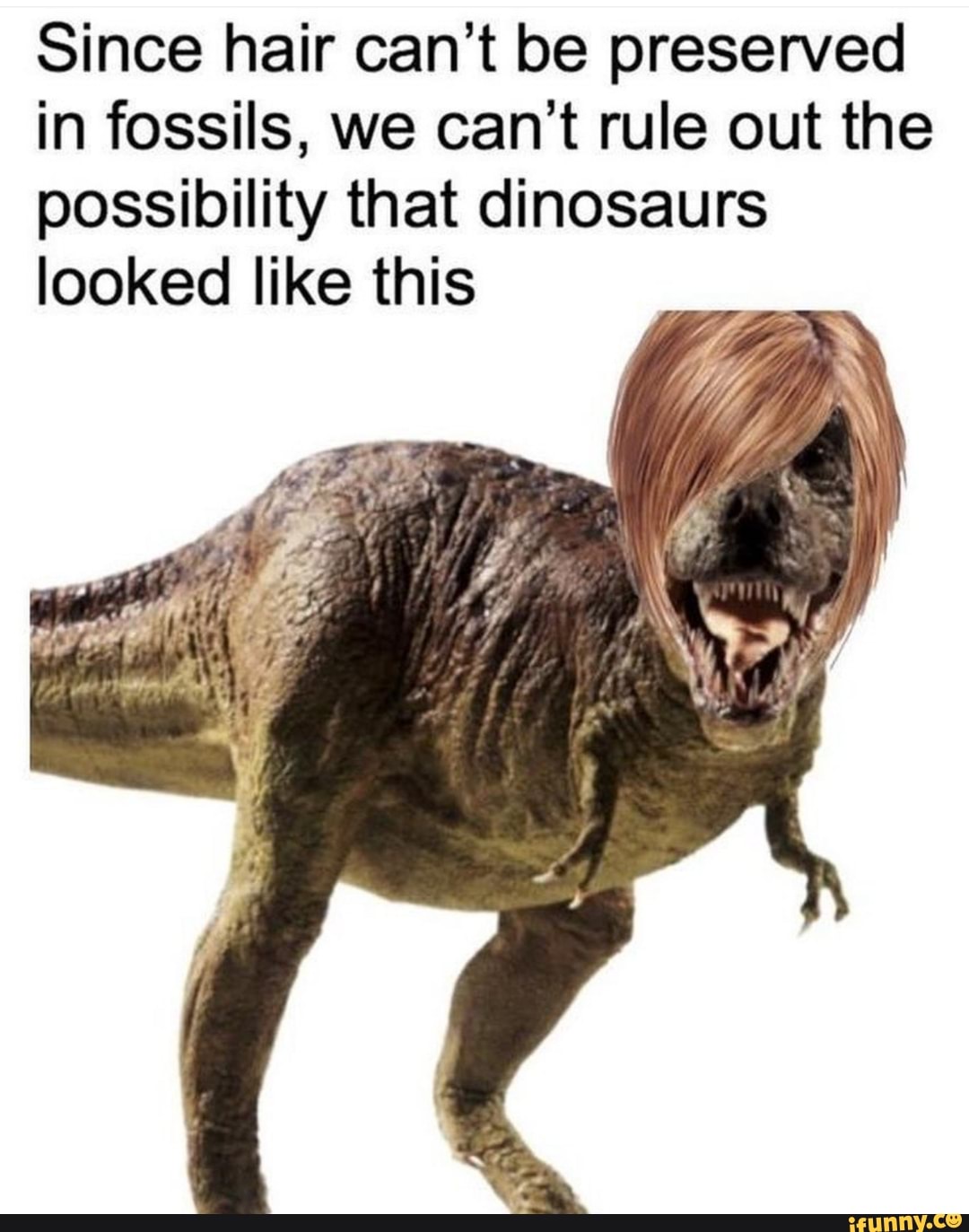 Since hair can't be preserved in fossils, we can't rule out the ...