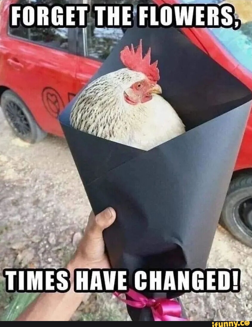 HEYYY LADIES! WHATCA UP TO? WATCHING SEASON 2020 OF EARTH, SHIT IS ...