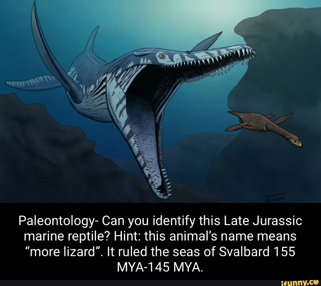Pliosaur memes. Best Collection of funny Pliosaur pictures on iFunny