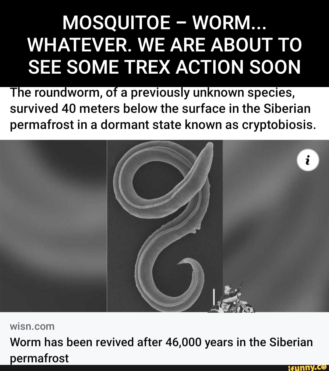 MOSQUITOE WORM... WHATEVER. WE ARE ABOUT TO SEE SOME TREX ACTION SOON ...