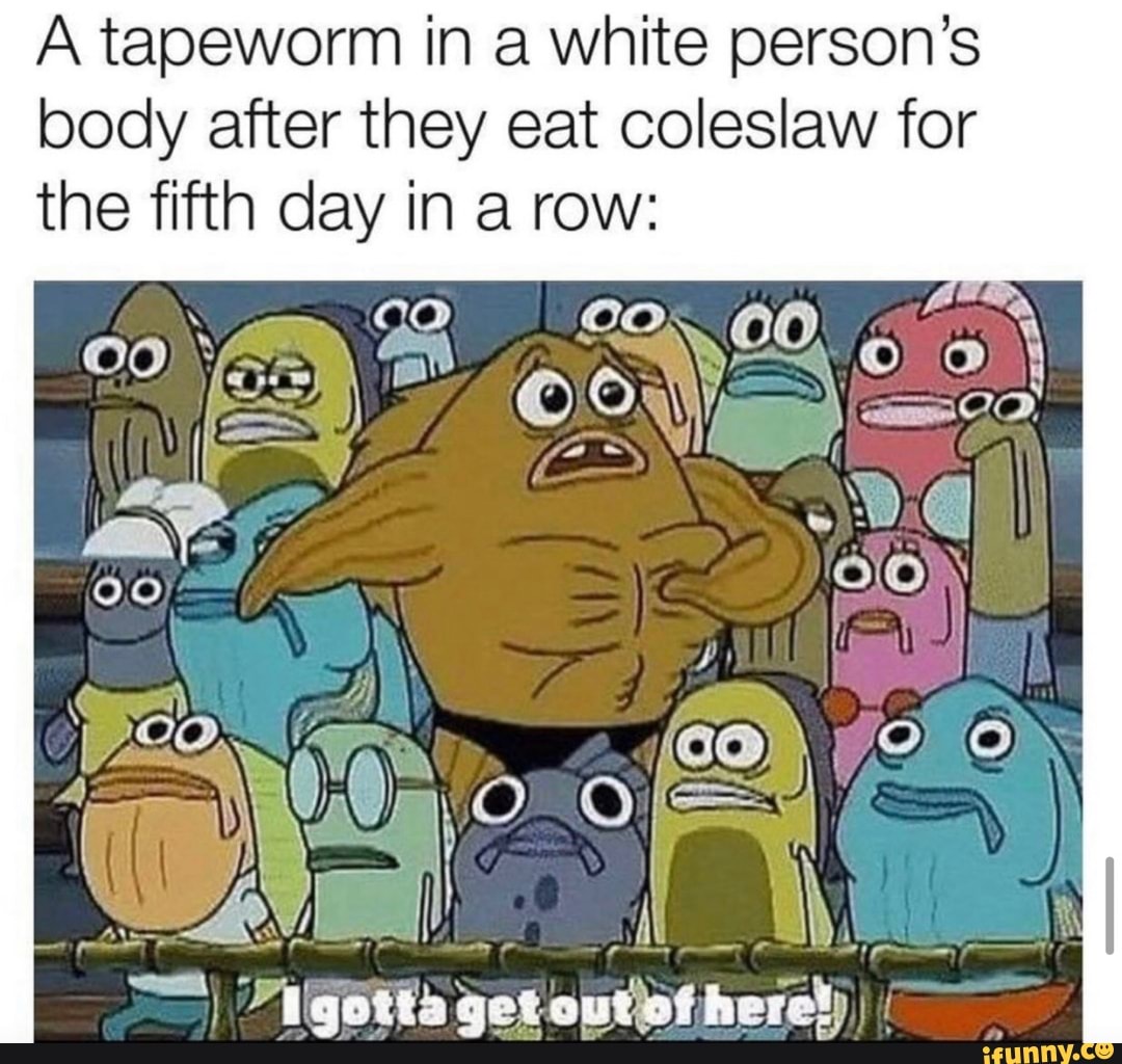 Bico memes. Best Collection of funny Bico pictures on iFunny