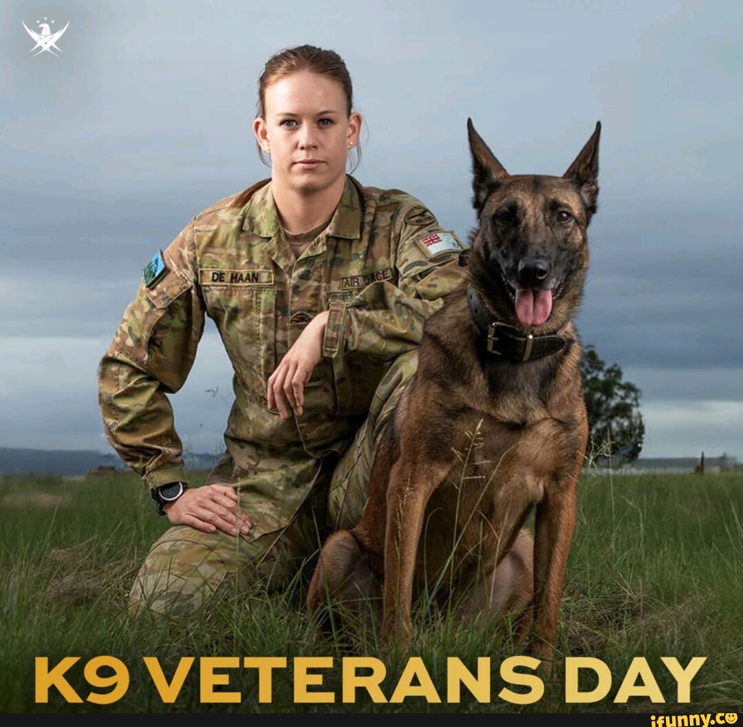 K9 memes. Best Collection of funny K9 pictures on iFunny