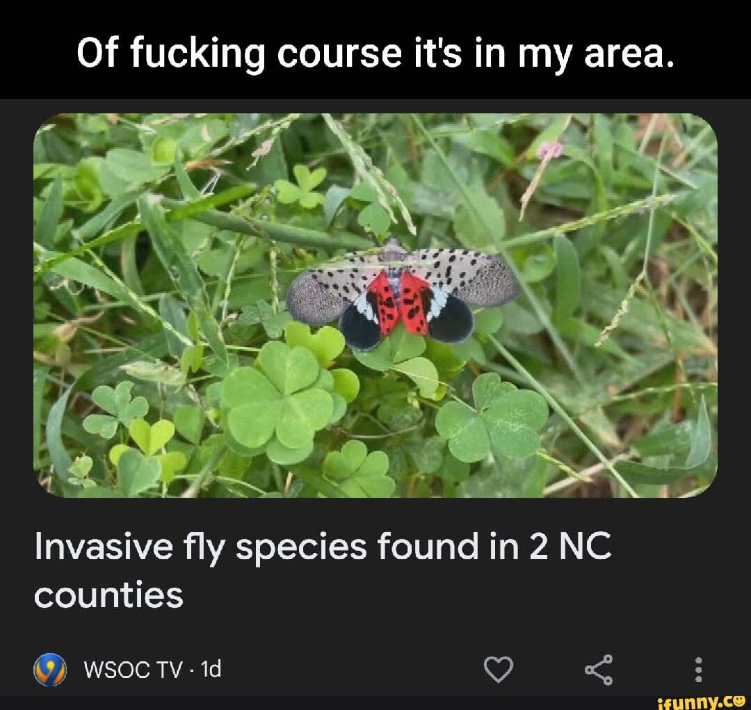 Invasive memes. Best Collection of funny Invasive pictures on iFunny