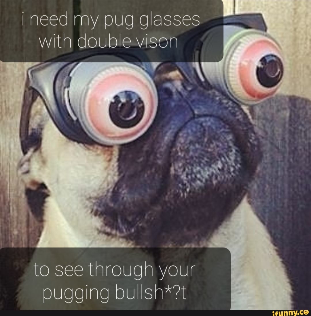 Pugging memes. Best Collection of funny Pugging pictures on iFunny