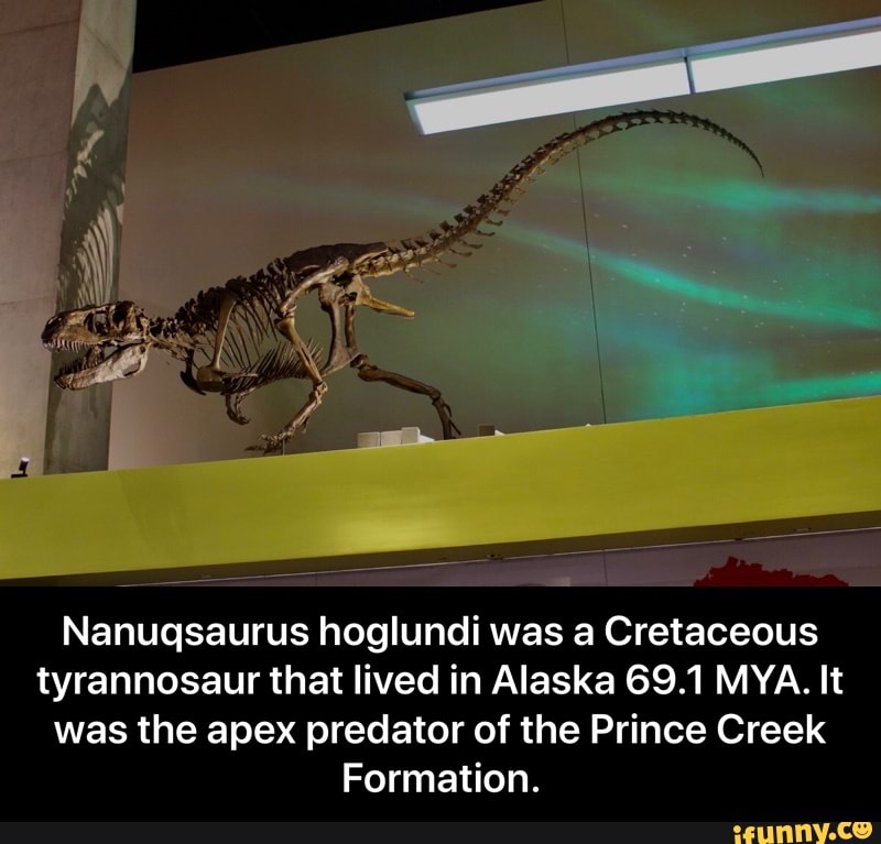 Nanuqsaurus hoglundi was a Cretaceous tyrannosaur that lived in Alaska ...