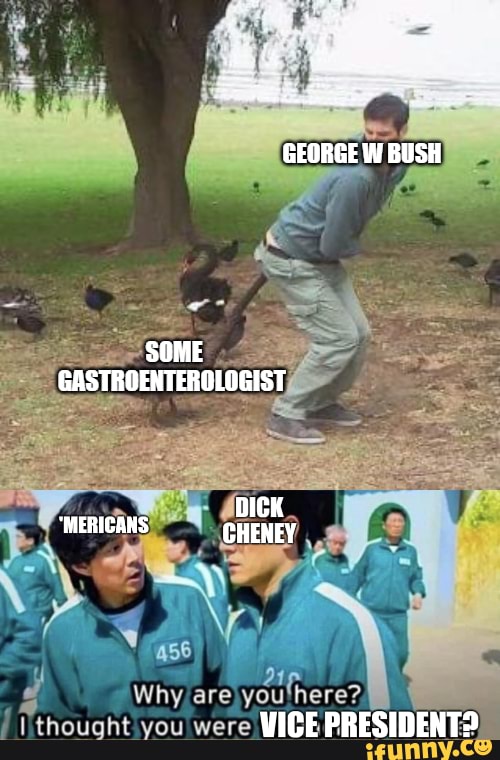 Gastroenterologist memes. Best Collection of funny Gastroenterologist ...