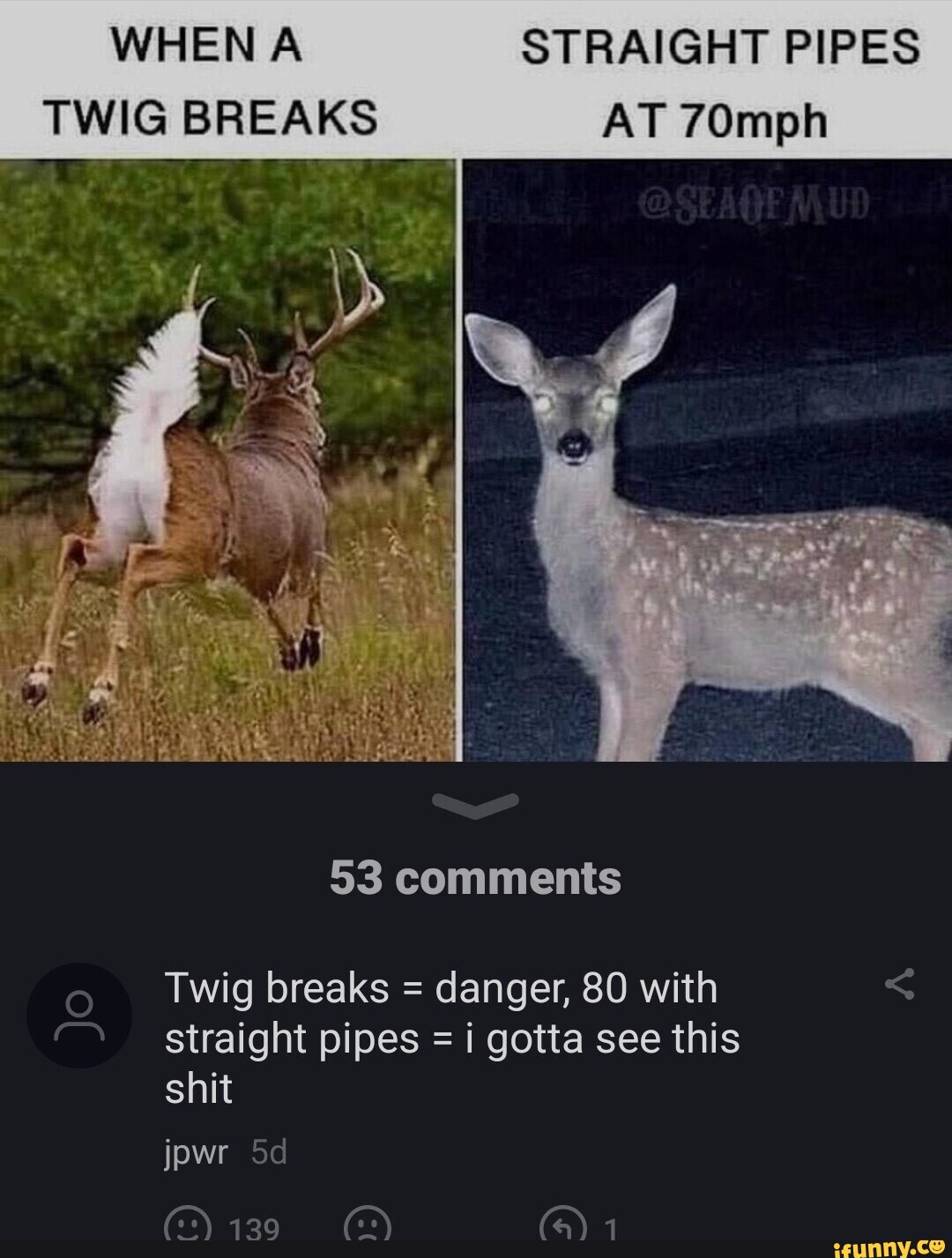 Retarded Deer