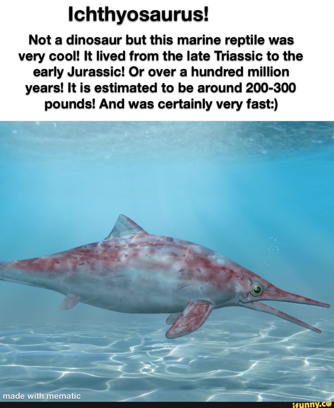 Ichthyosaurus! Not a dinosaur but this marine reptile was very cool! It ...
