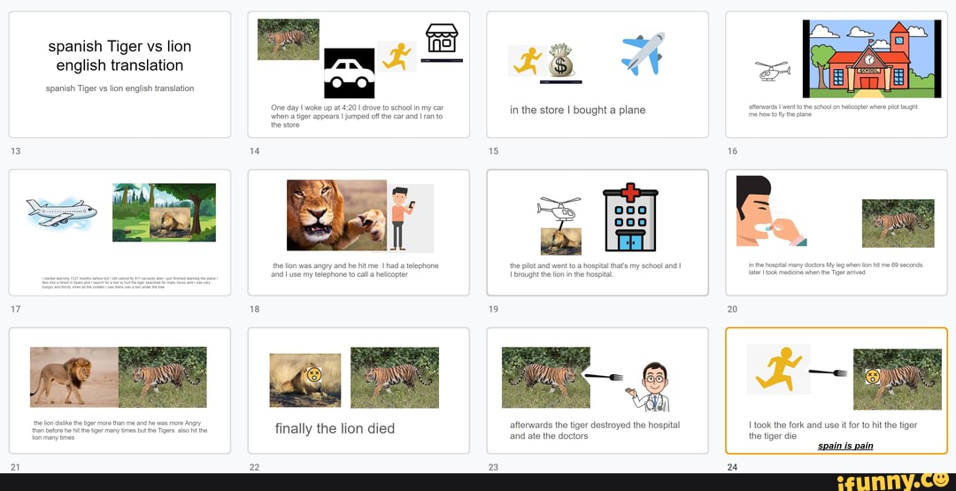 Spanish Tiger vs lion english translation spanish Tiger vs lion english ...