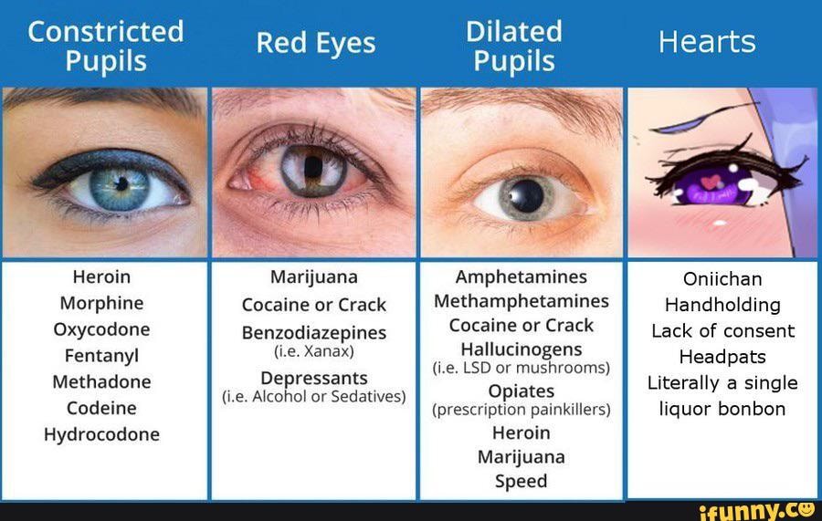 Constricted Pupils Heroin Morphine Oxycodone Fentanyl Methadone Codeine ...