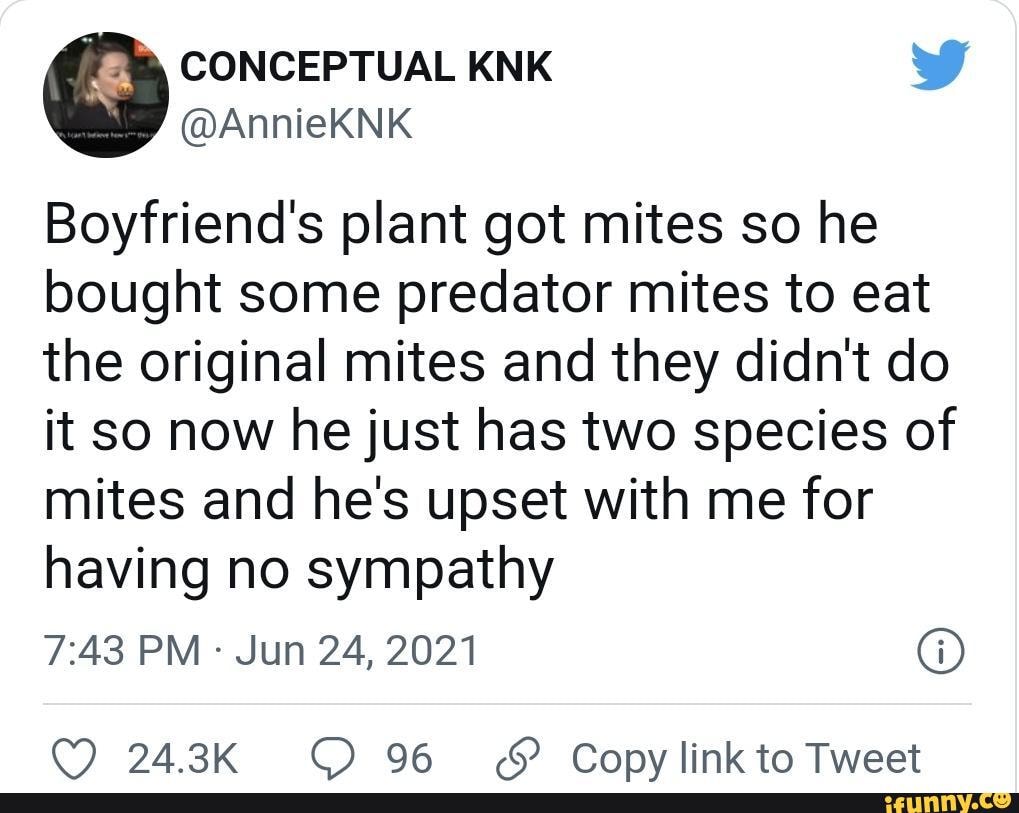 Things that made me laugh - Boyfriend's plant got mites so he bought ...