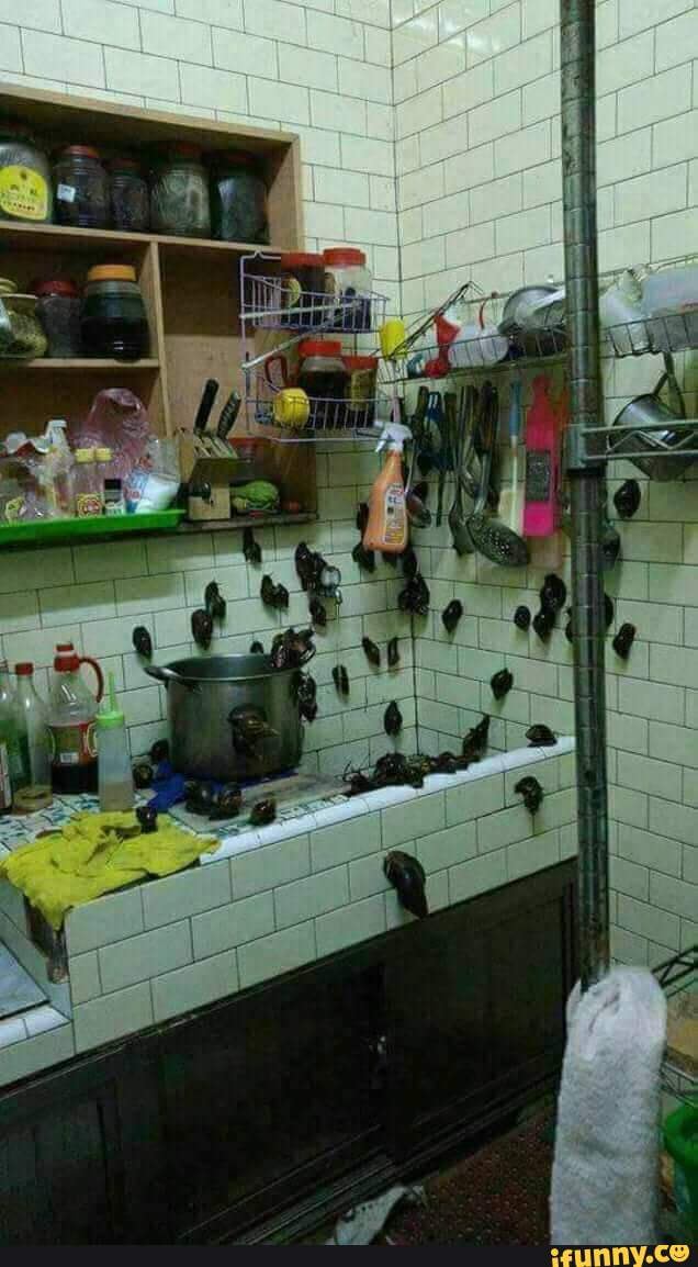 Cursed_kitchen memes. Best Collection of funny Cursed_kitchen pictures ...