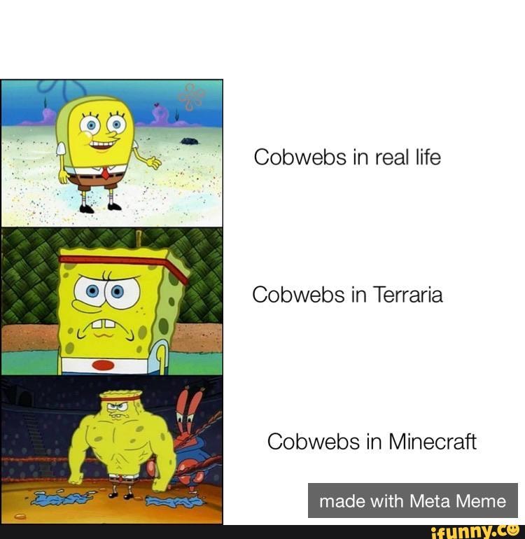 Cobwebs in real life Cobwebs in Terraria Cobwebs in Minecraft made with ...