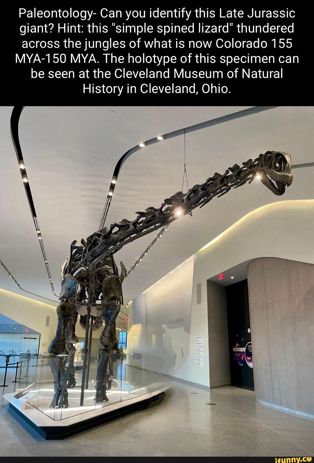 Paleontology- Can you identify this Late Jurassic giant? Hint: this ...