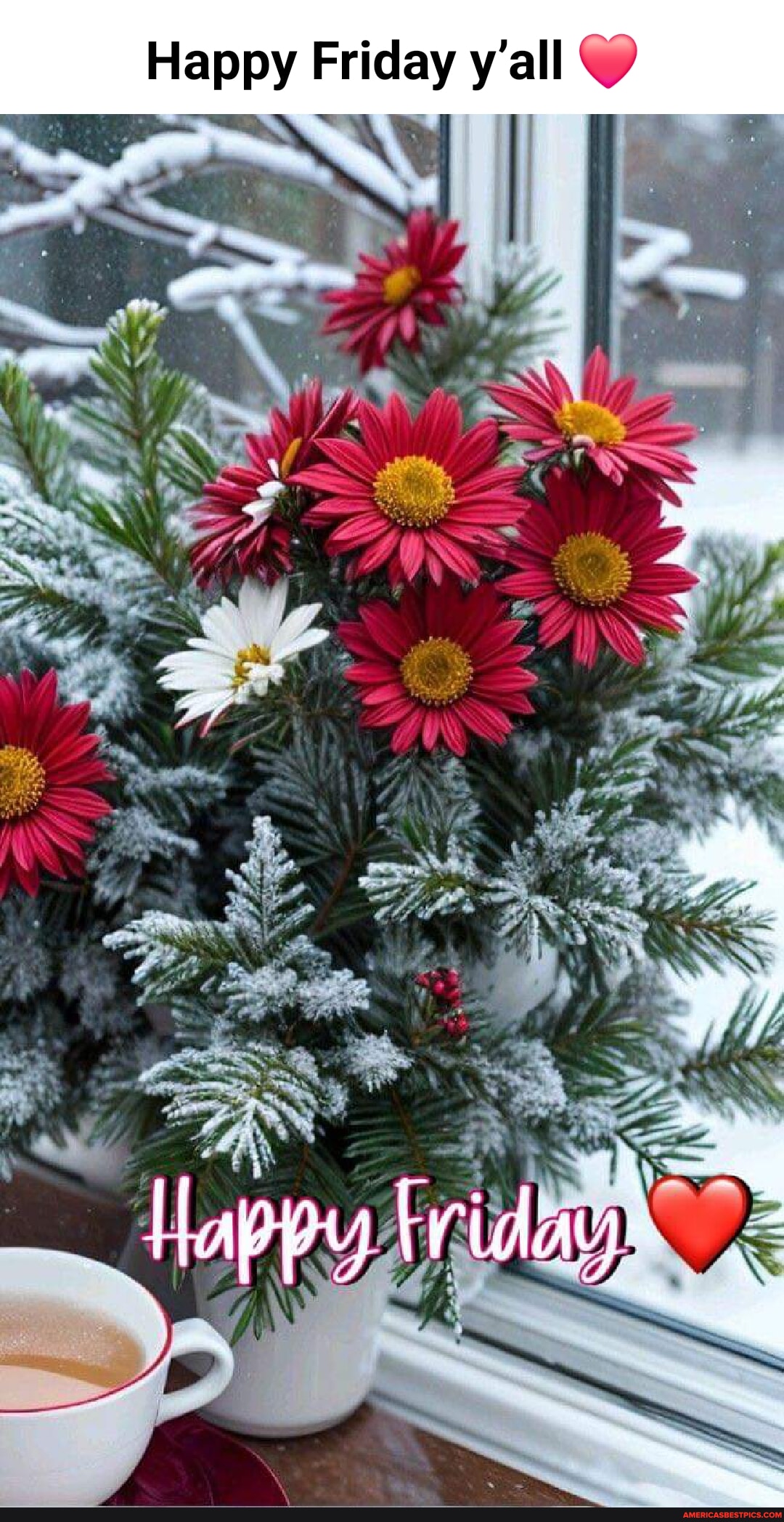 Happy Friday y'all - America’s best pics and videos