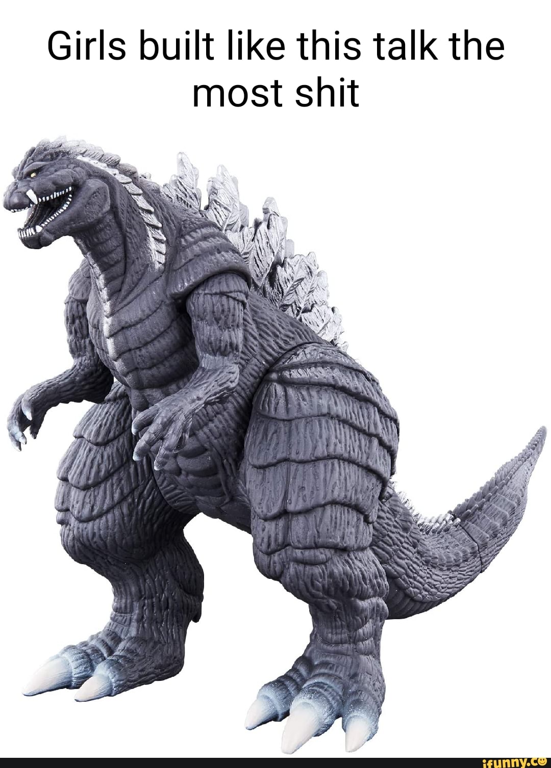 Girls built like this talk the most shit - iFunny