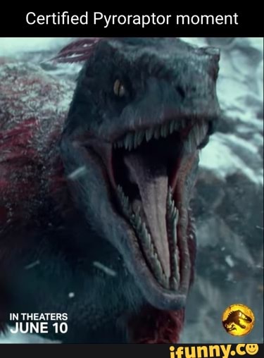 Pyroraptor memes. Best Collection of funny Pyroraptor pictures on iFunny